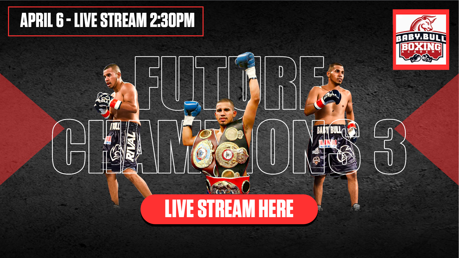REPLAY: Baby Bull Boxing Academy presents Future Champions 3 - Deportes ...